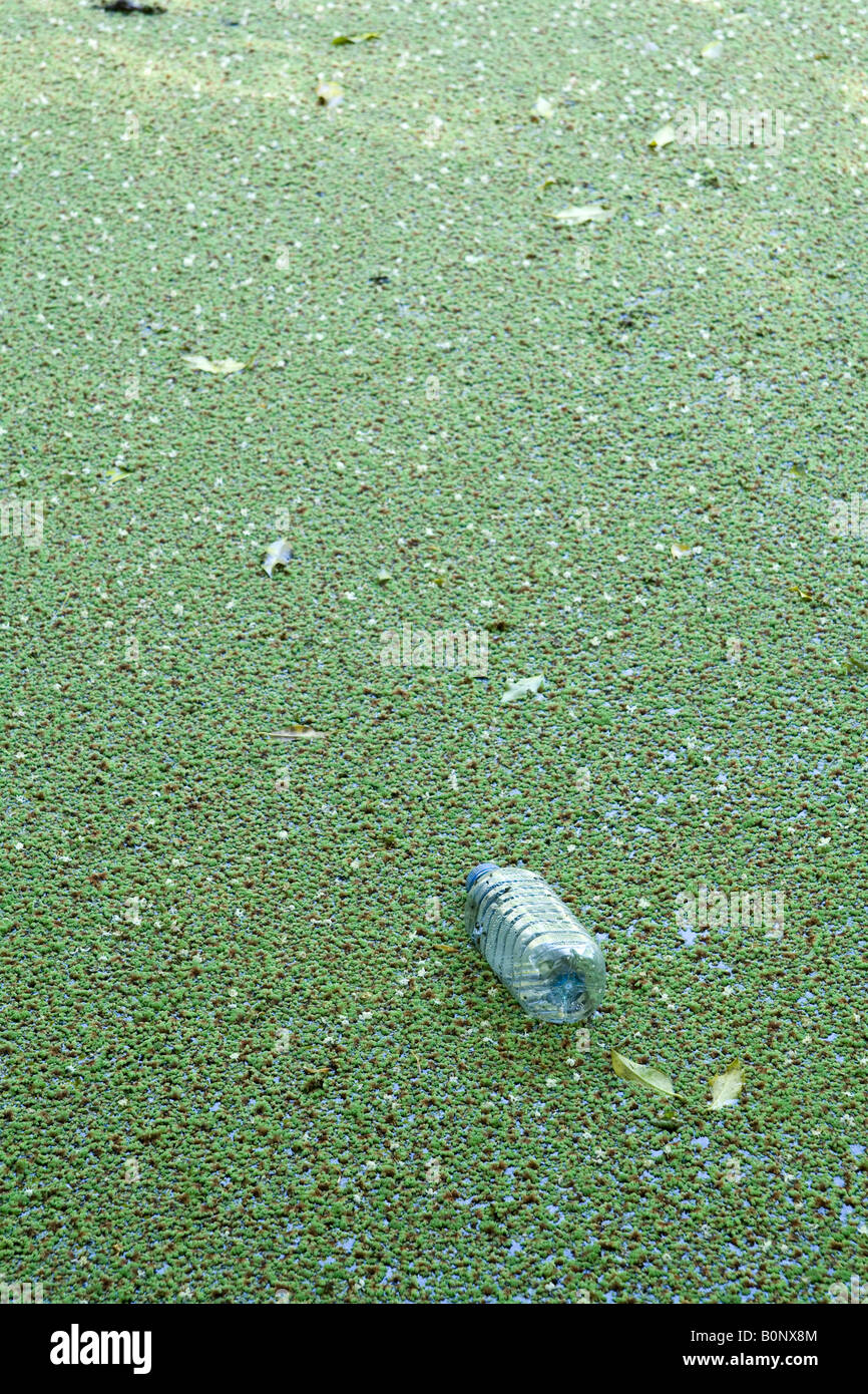 Plastic Pond High Resolution Stock Photography and Images - Alamy