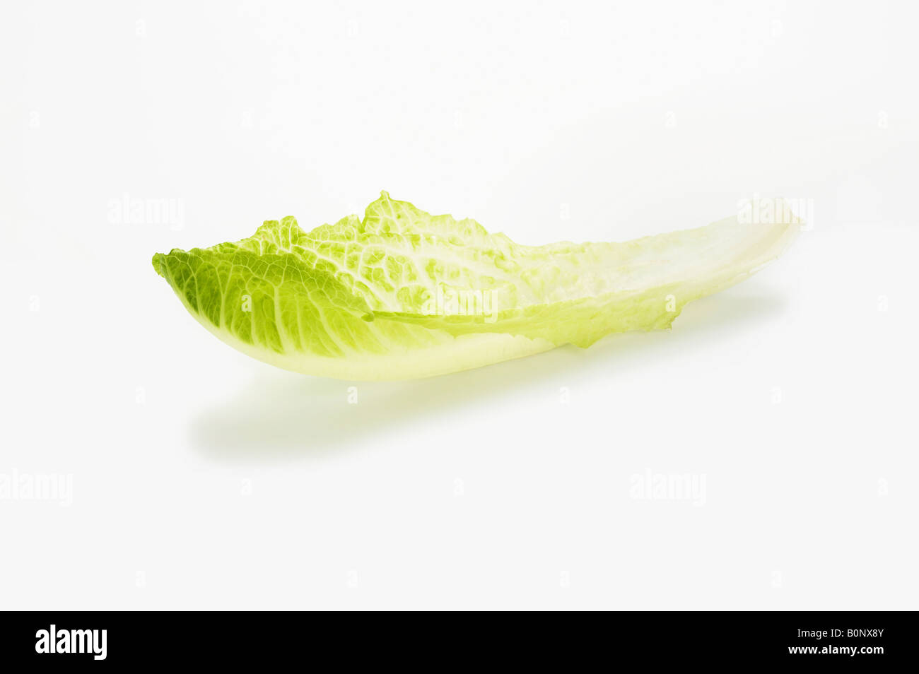 single lettuce leaf Stock Photo - Alamy