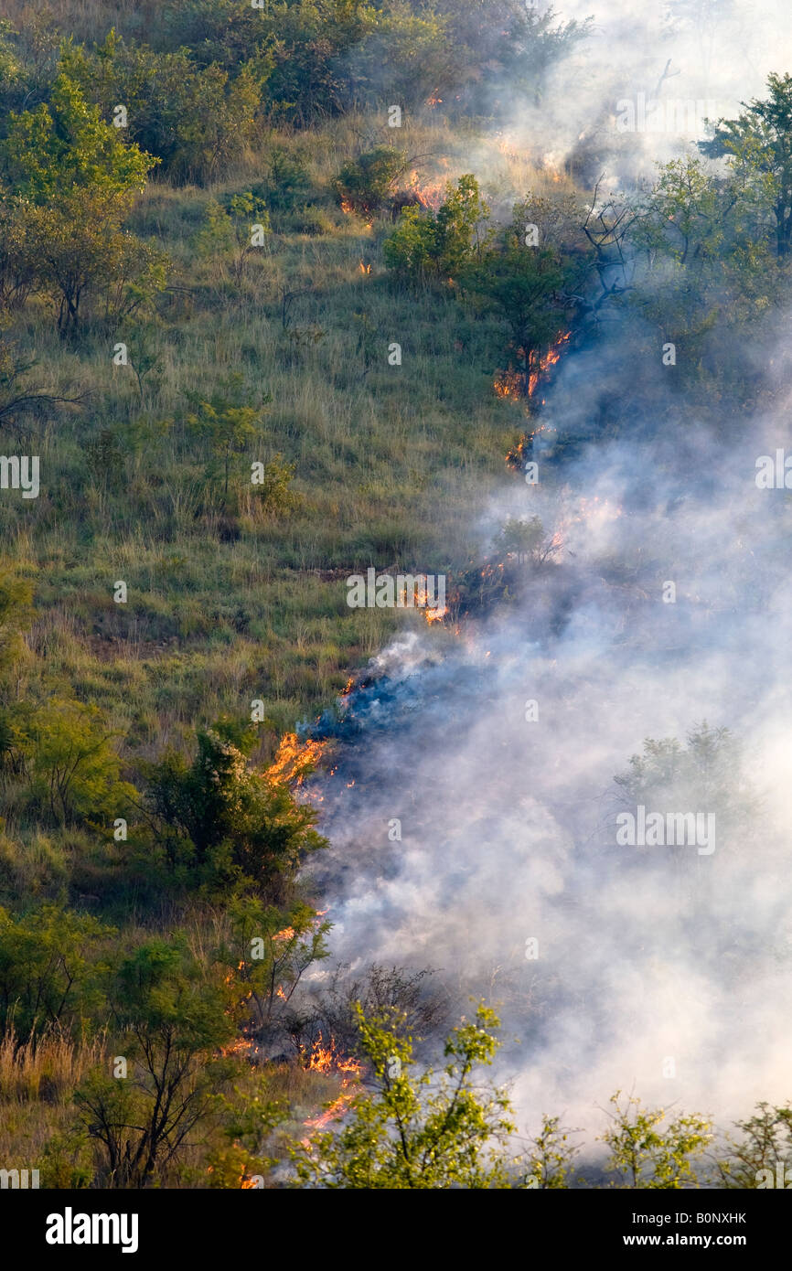 Bush fire africa hi-res stock photography and images - Alamy