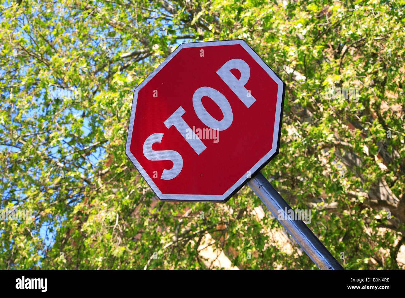 Stop sign in Arezzo Italy Stock Photo - Alamy