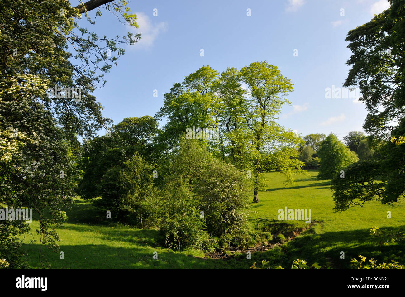 Countryside with trees and grazing land seen from Dewsbury Road in ...