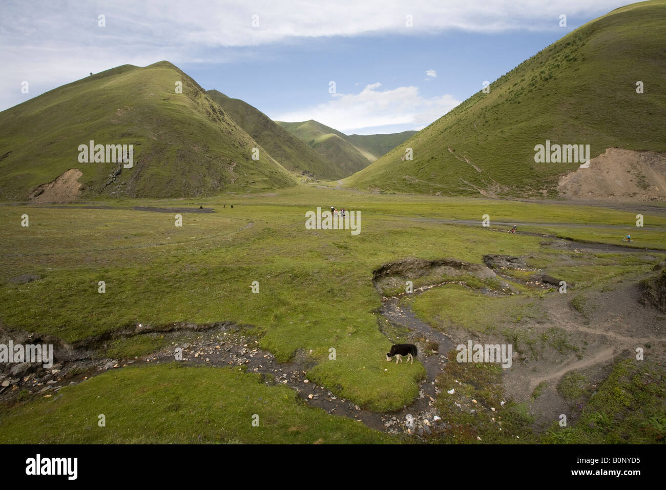 Treeless grasslands hi-res stock photography and images - Alamy