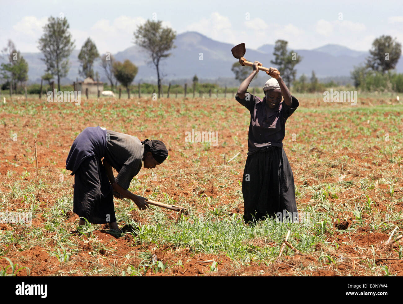 Women farming africa hi-res stock photography and images - Alamy