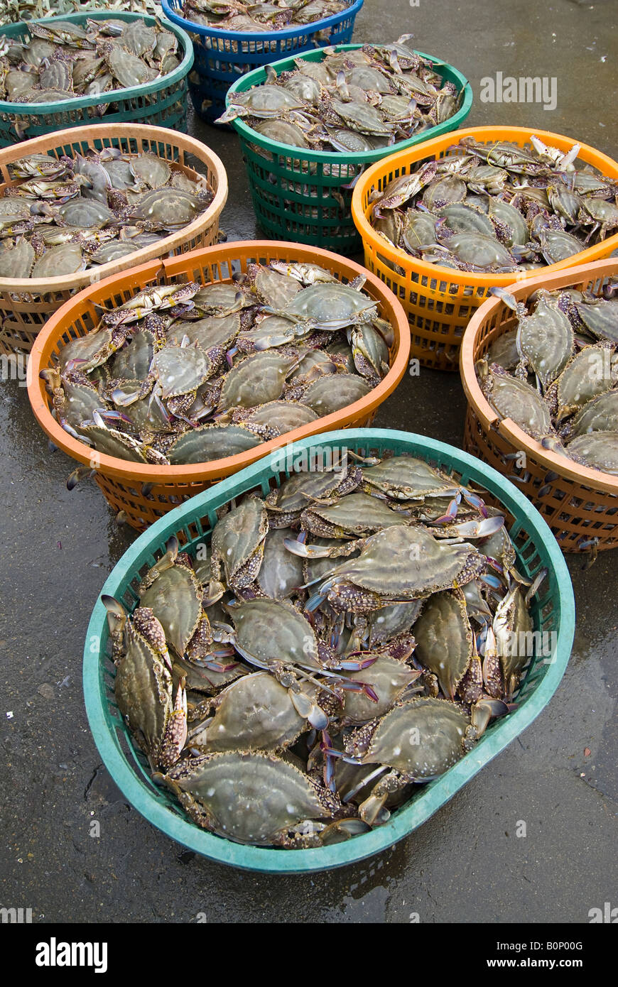 Crabs sold at the fish market hi-res stock photography and images - Alamy