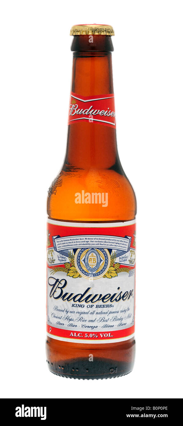 Bottle of Budweiser Lager Stock Photo - Alamy