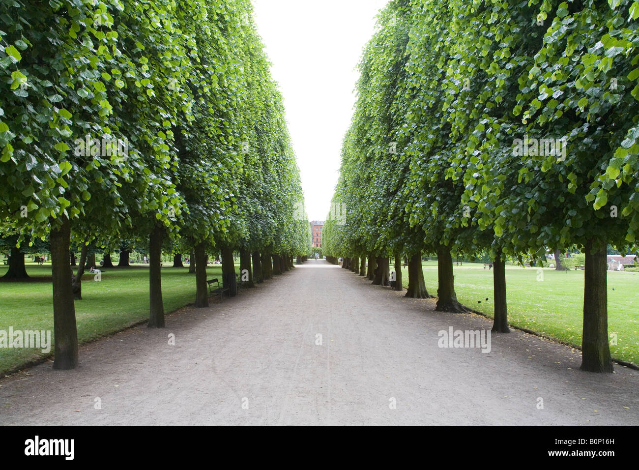 Copenhagen one line road hi-res stock photography and images - Alamy