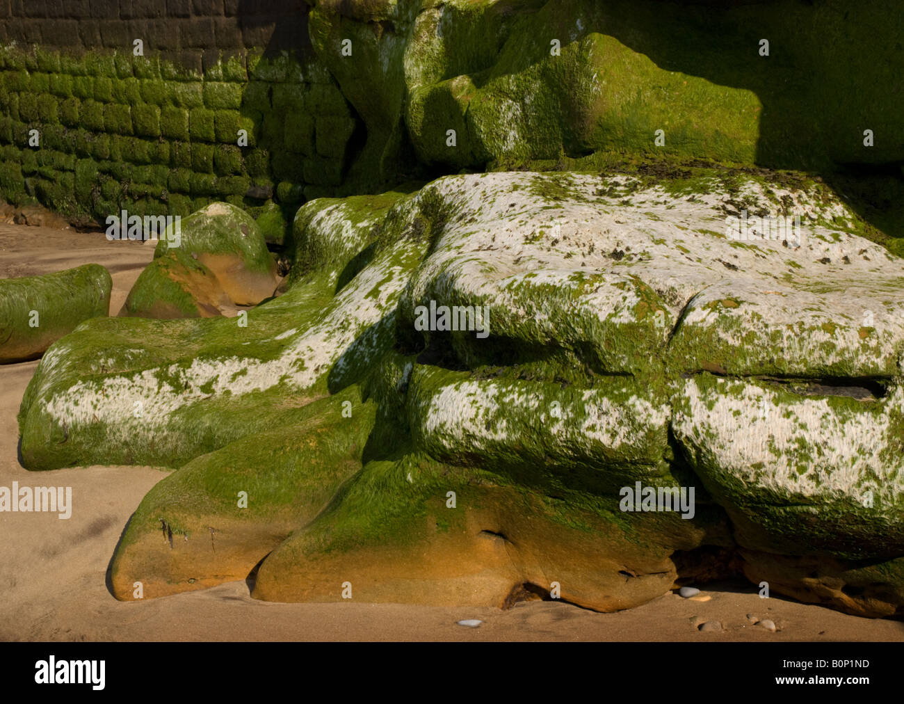 Whitby rocks hi-res stock photography and images - Alamy