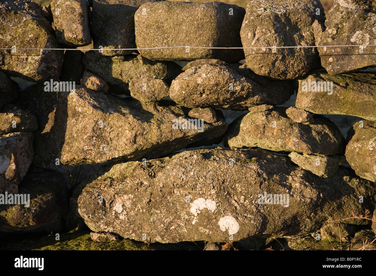 Dry stone wall on Dartmoor Stock Photo - Alamy