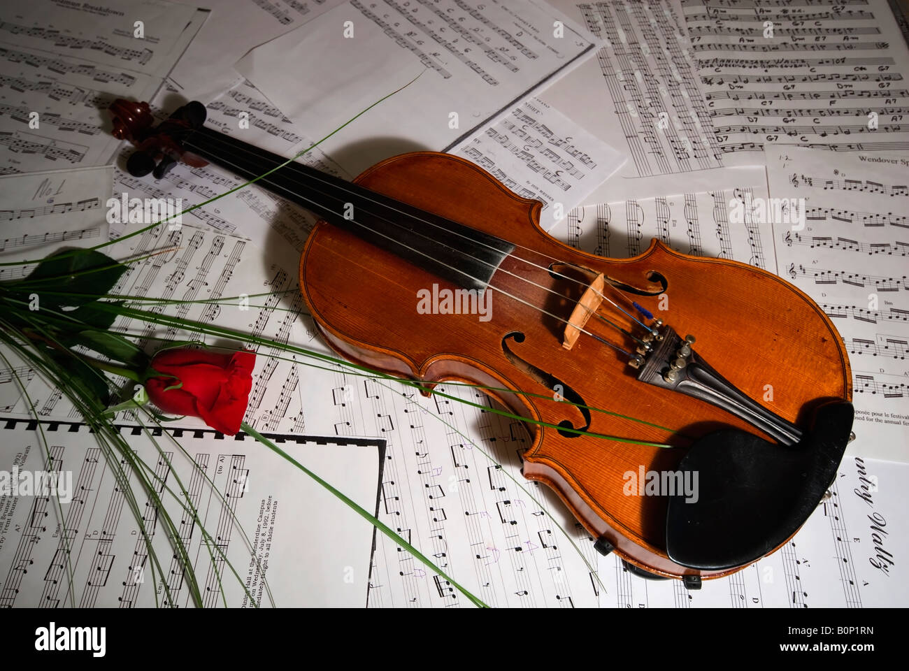 Violin music instrument with a rose Stock Photo - Alamy