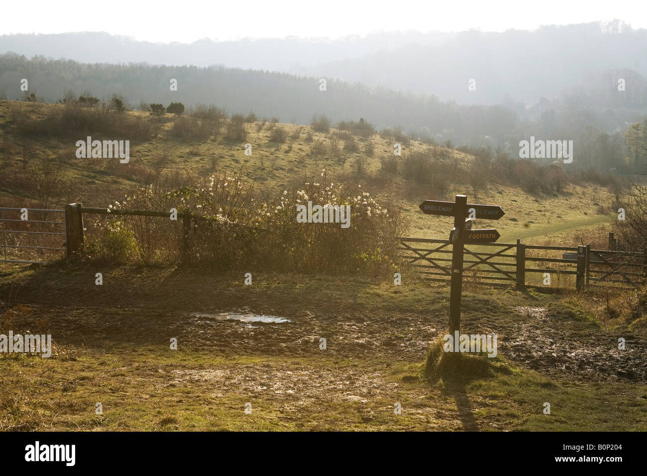Chiltern hills on a dusky summer evening in the English countryside ...