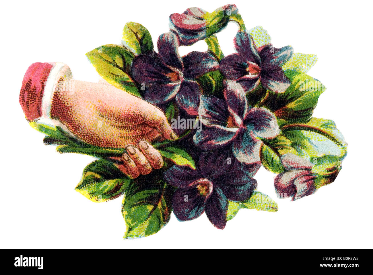 ancient hand with flower gift 19th century Germany Stock Photo - Alamy