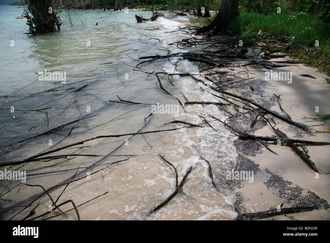 Elephant beach, havelock island, andaman,india Stock Photo - Alamy