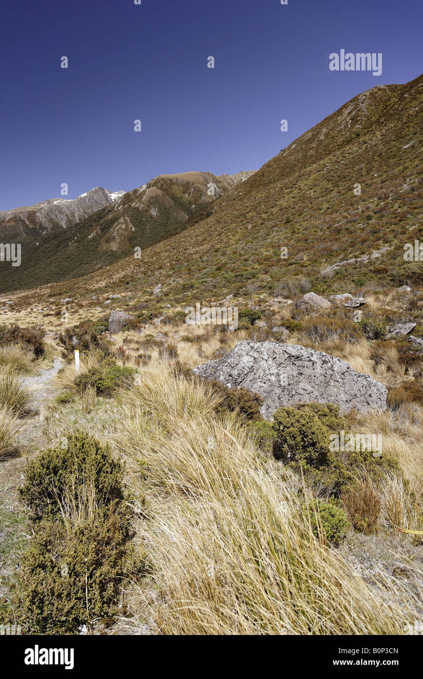 The baron landscape of Arthurs Pass, New Zealand Stock Photo - Alamy