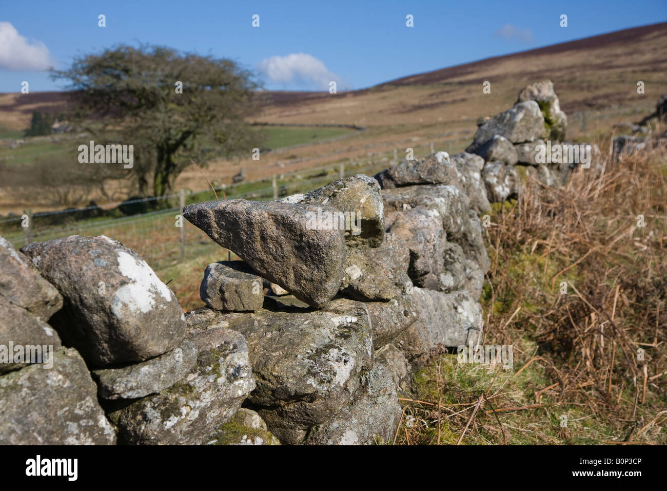 Dry stone wall on Dartmoor Stock Photo - Alamy