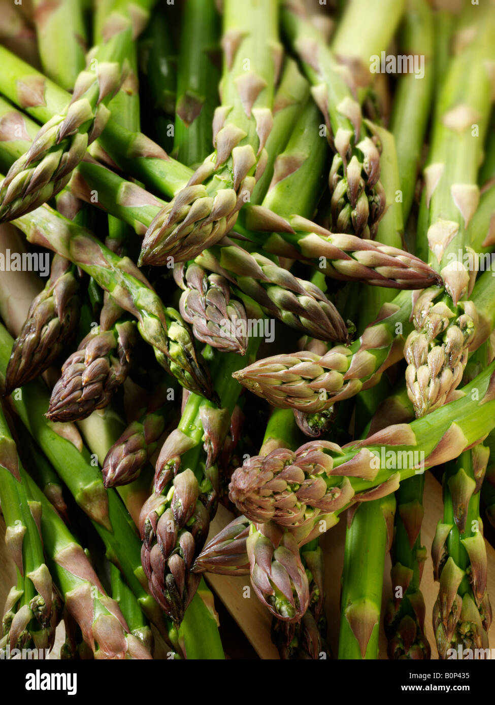 Asparagus harvest hi-res stock photography and images - Alamy