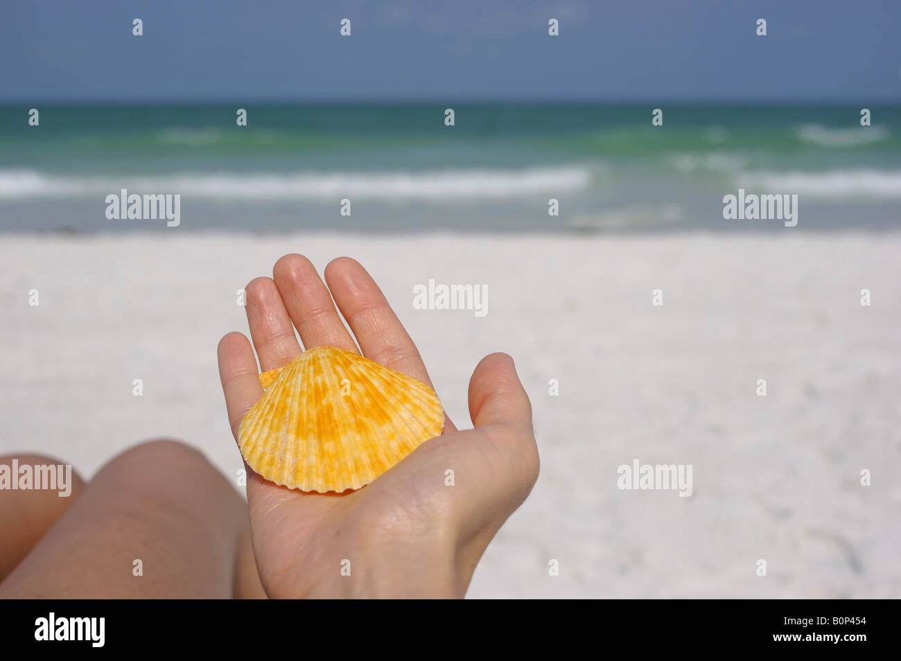 Shell in woman s hand against ocean background Stock Photo - Alamy