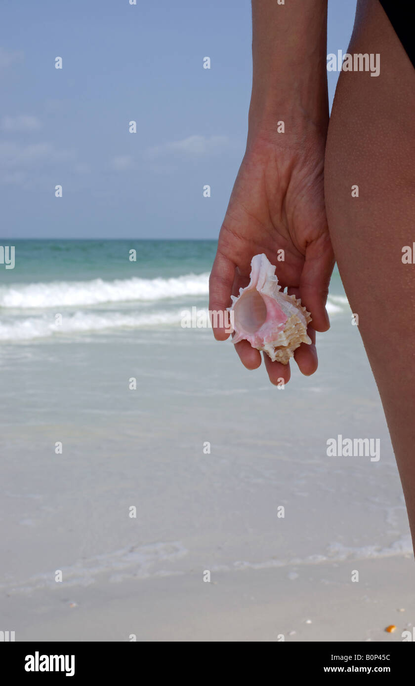 Shell in woman s hand against ocean background Stock Photo - Alamy