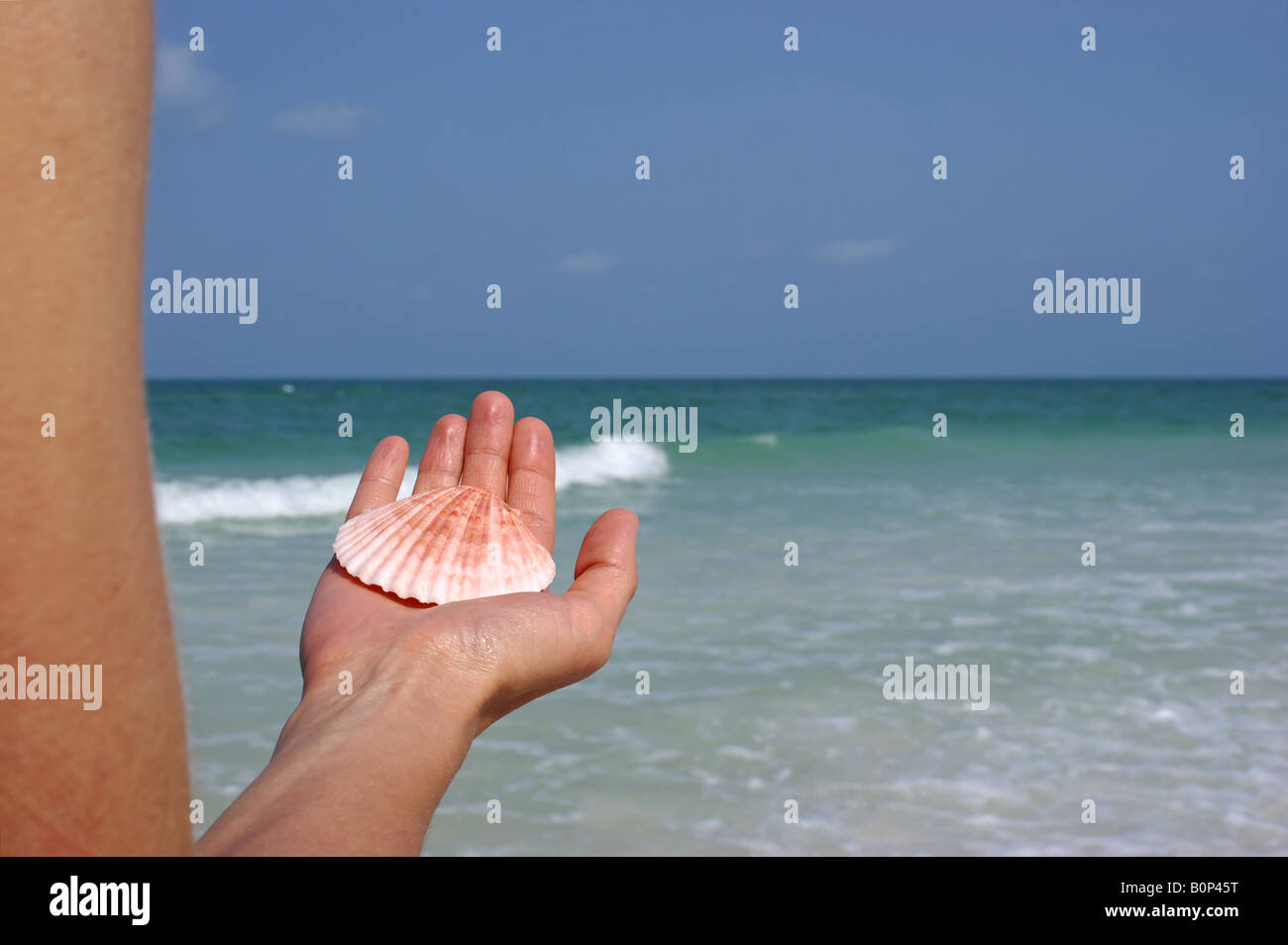 Shell in woman s hand against ocean background Stock Photo - Alamy