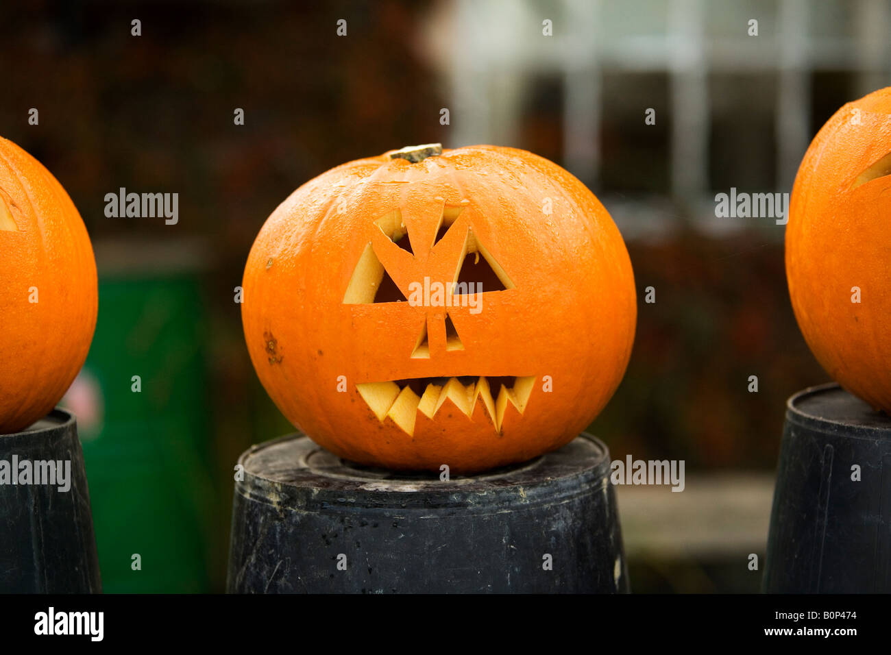 halloween pumpkin with a gruesome face Stock Photo - Alamy