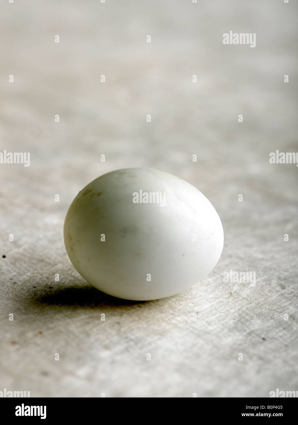 single white egg on its own on table Stock Photo - Alamy