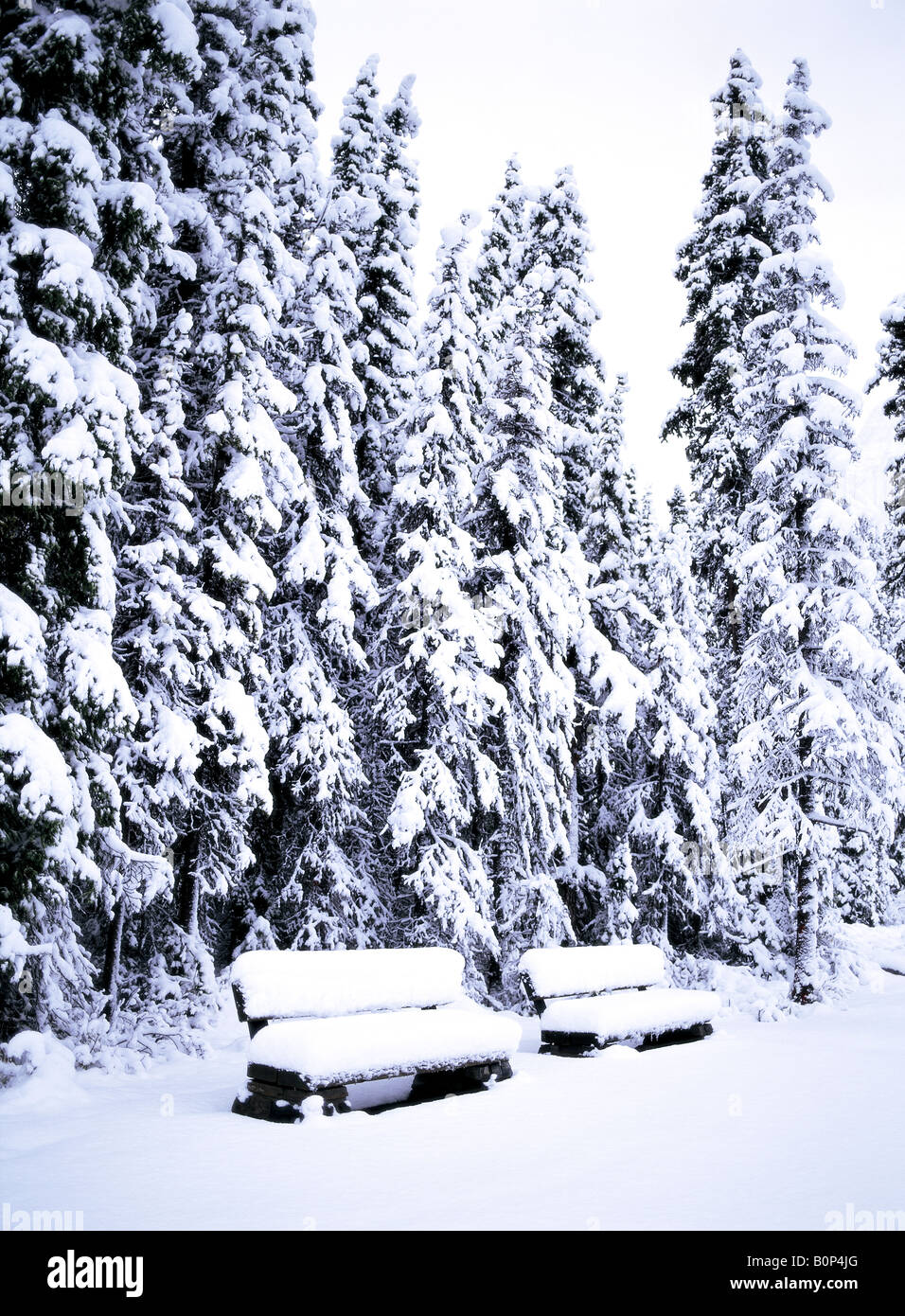 Benches in snow Lake Louise in winter Canada Stock Photo - Alamy