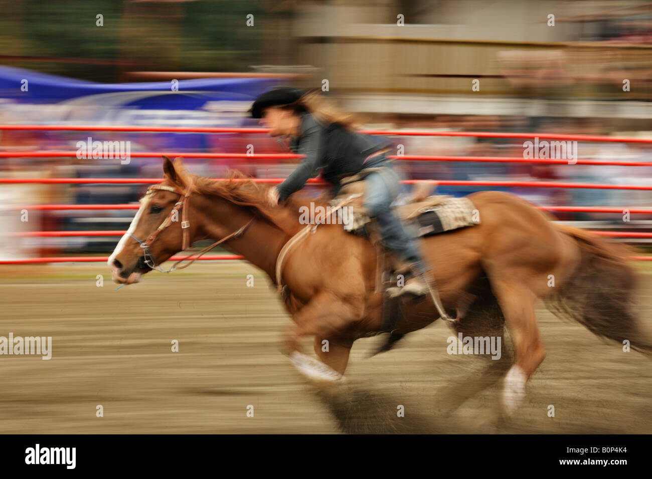Female Rodeo High Resolution Stock Photography and Images - Alamy