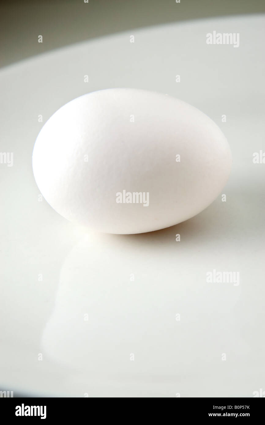 An uncracked egg on a white plate with narrow depth of field Stock ...