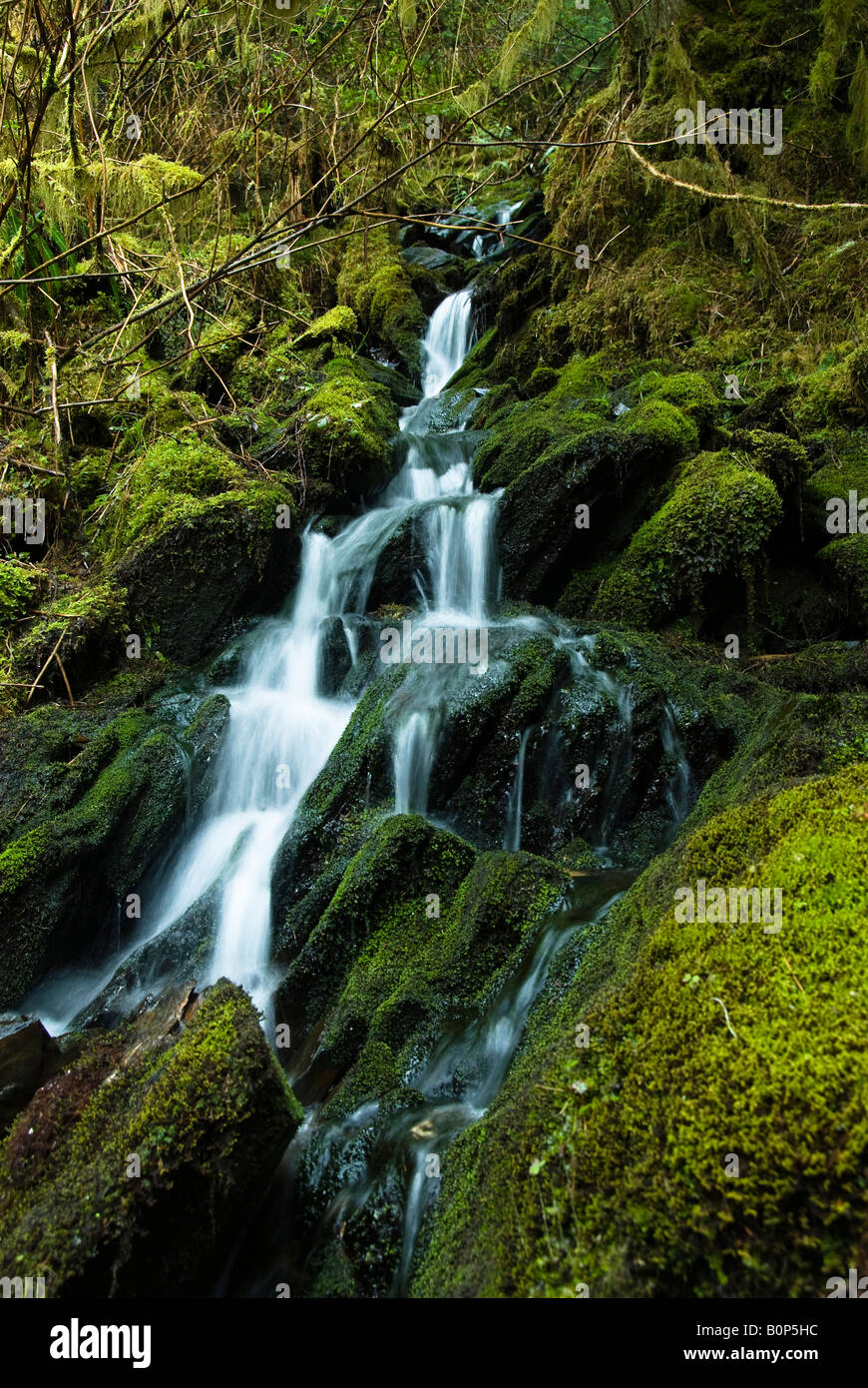 Alaska rain forest waterfall hi-res stock photography and images - Alamy