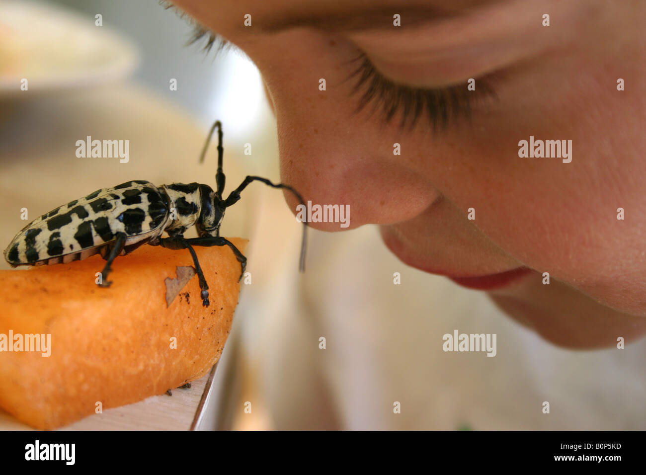 Child Insect Face Stock Photos & Child Insect Face Stock Images - Alamy