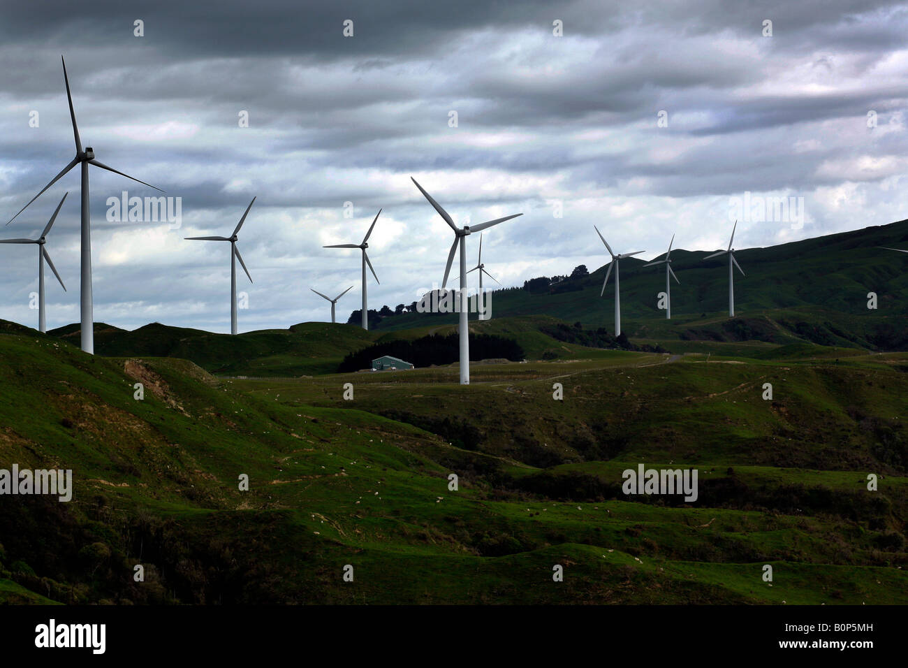 Ruahine range hi-res stock photography and images - Alamy