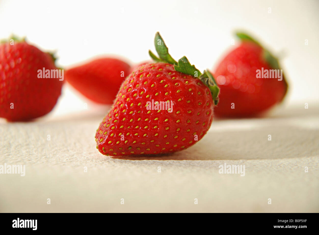 The strawberry (Fragaria) (plural strawberries) family Rosaceae and the ...