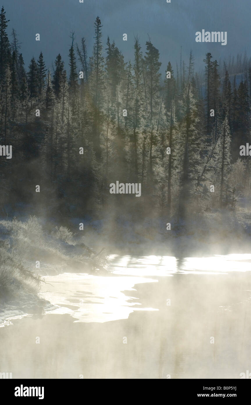 A winter misty scenic Stock Photo - Alamy
