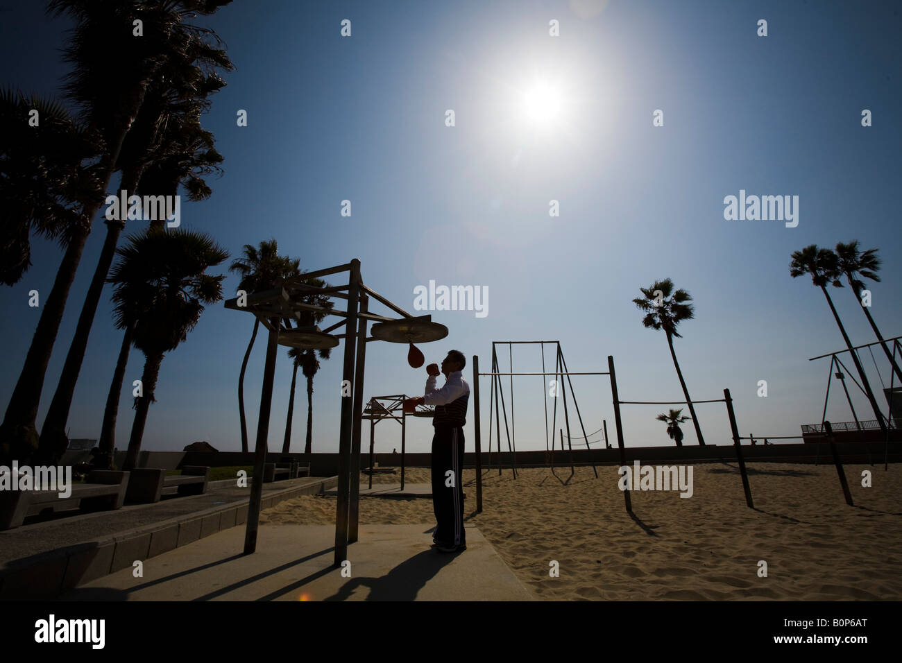 Boxer, Venice Beach Los Angeles California United States of America ...