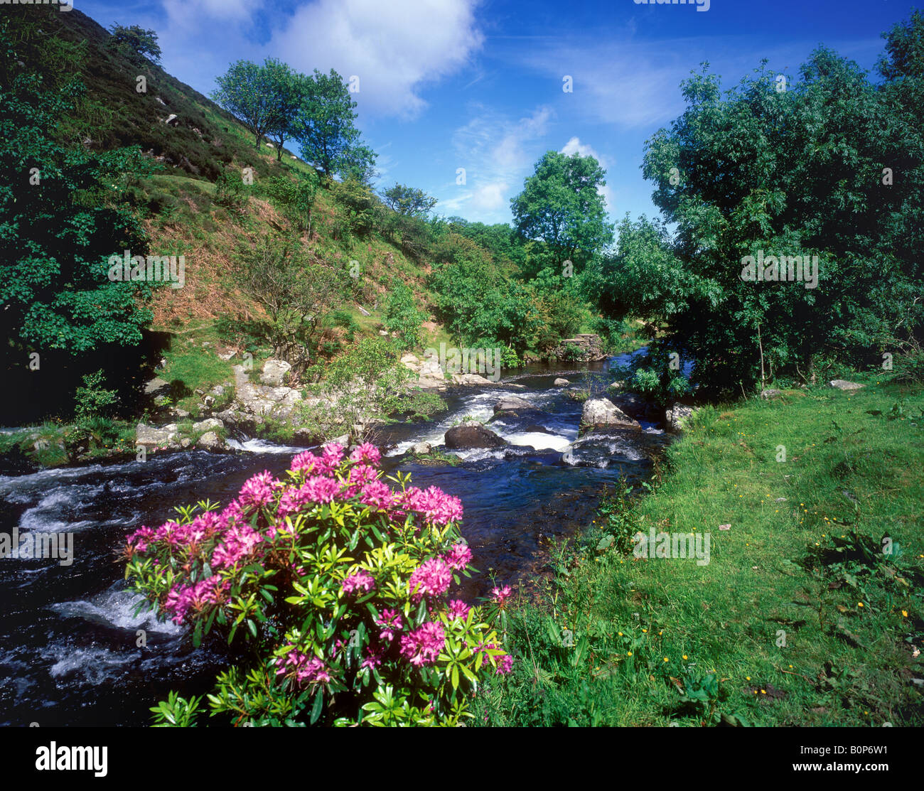 Stream running through Doone Valley on Exmoor Stock Photo - Alamy