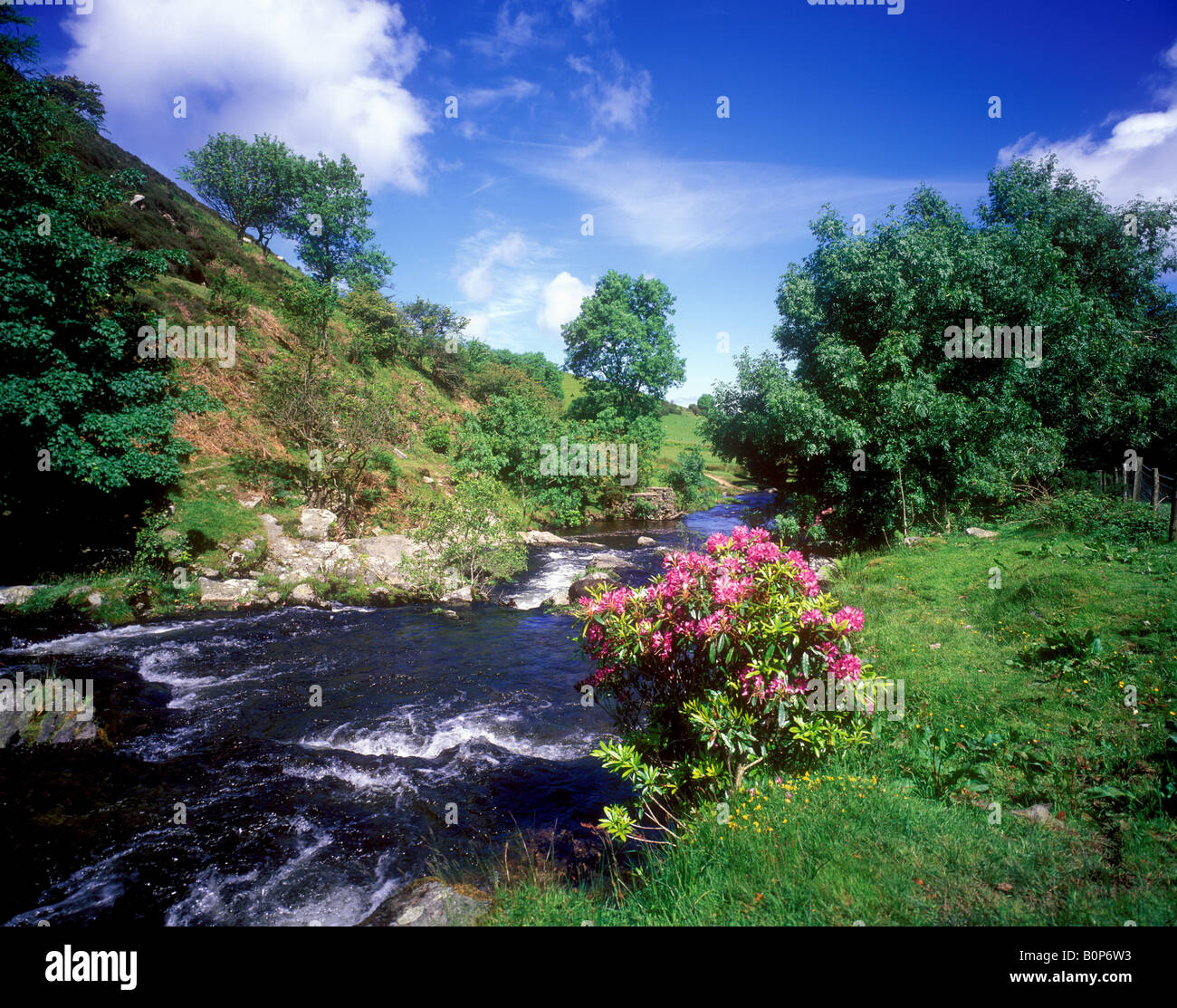 Stream running through Doone Valley on Exmoor Stock Photo - Alamy