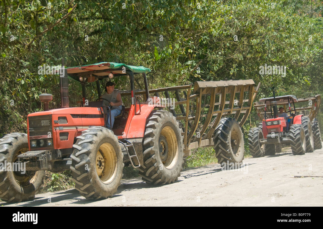 COSTA RICA Agriculture Tractors hauling sugar cane at harvest time ...