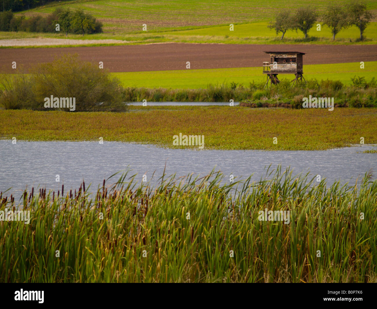 observation platform on the edge of a nature reserve Stock Photo - Alamy