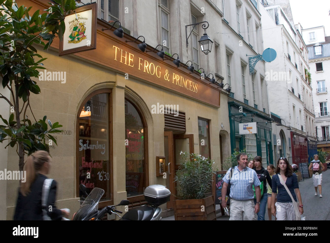 Drunk frog hi-res stock photography and images - Alamy