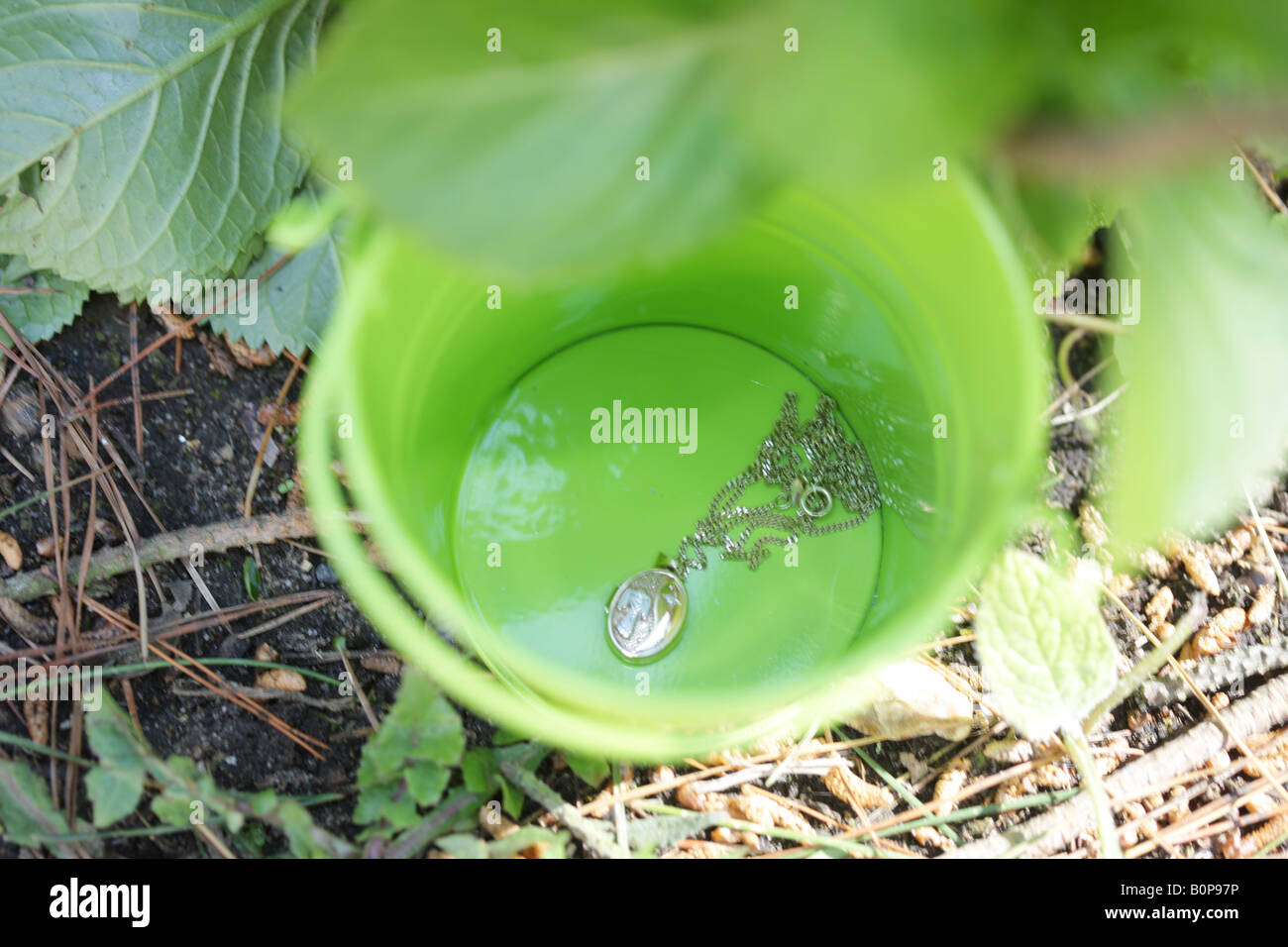 Locket in a Plant Pot Stock Photo - Alamy