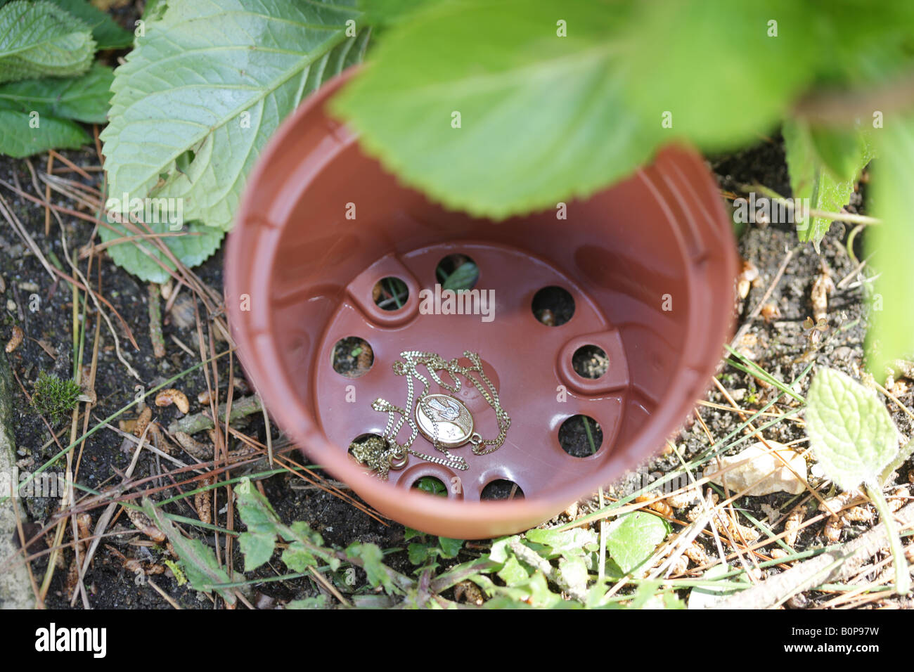 Locket in a Plant Pot Stock Photo - Alamy