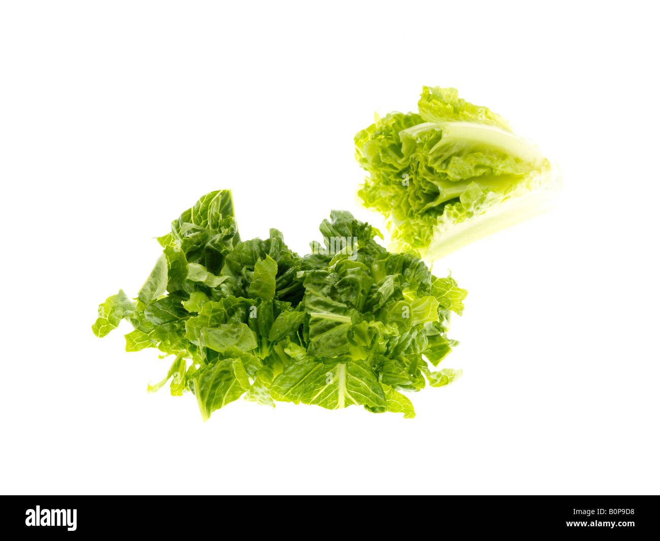 Cos lettuce leaves hi-res stock photography and images - Alamy