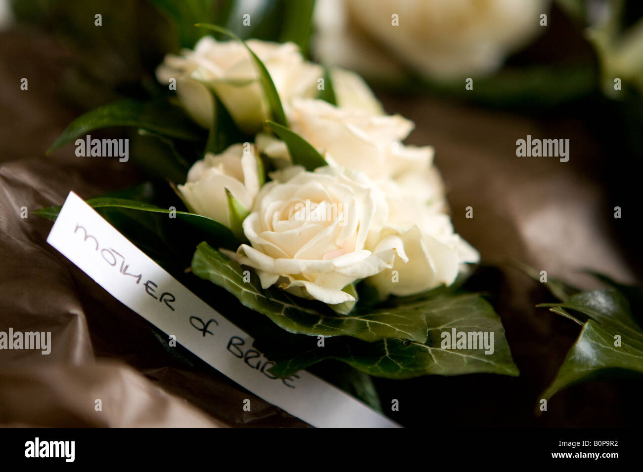 Buttonhole Flowers Stock Photos & Buttonhole Flowers Stock Images - Alamy