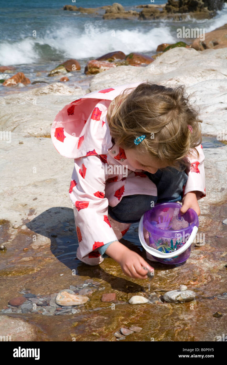 young girl looking for crabs in the rock pools Stock Photo - Alamy