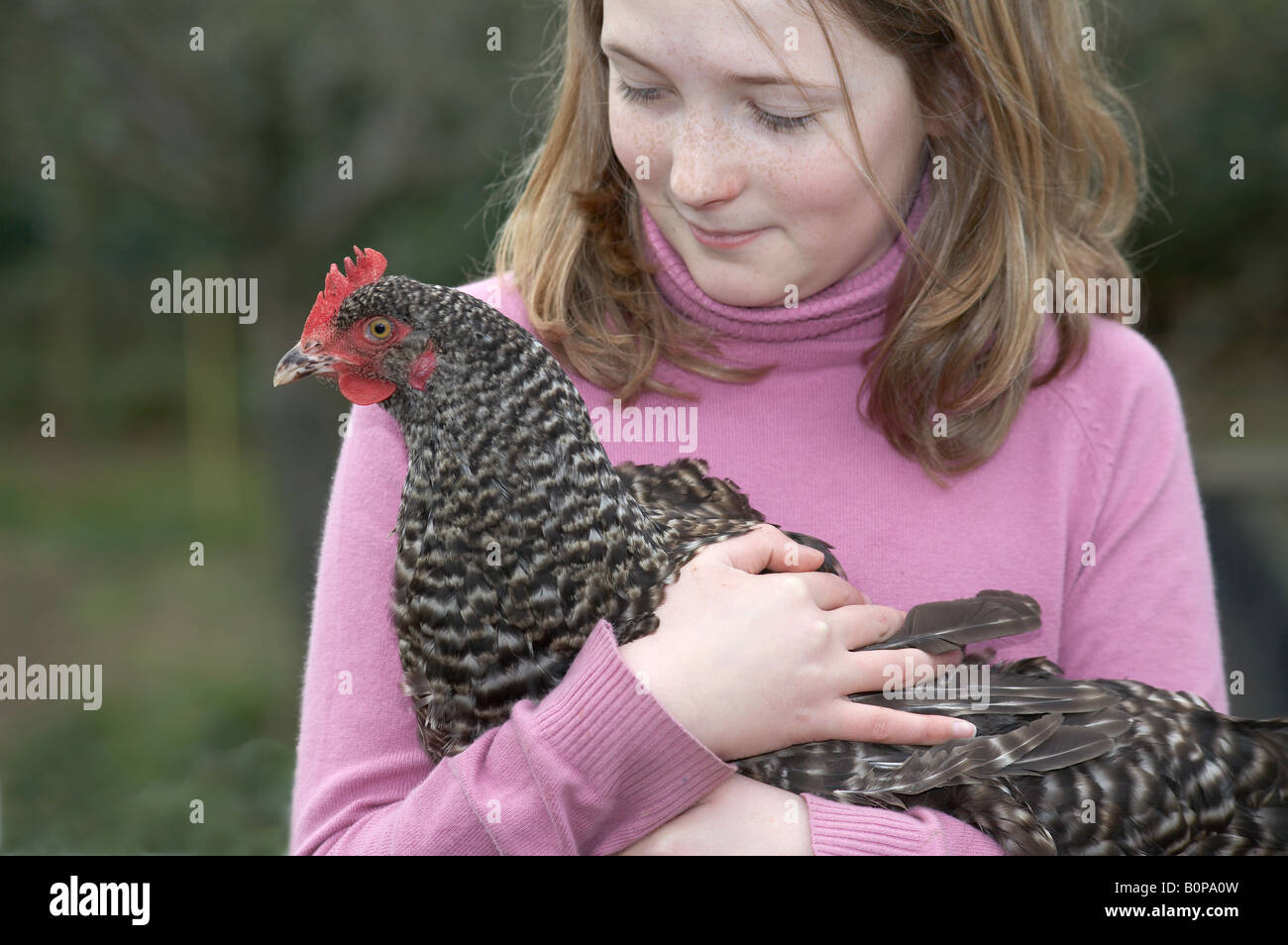 Girl holding chicken. Devon Stock Photo - Alamy