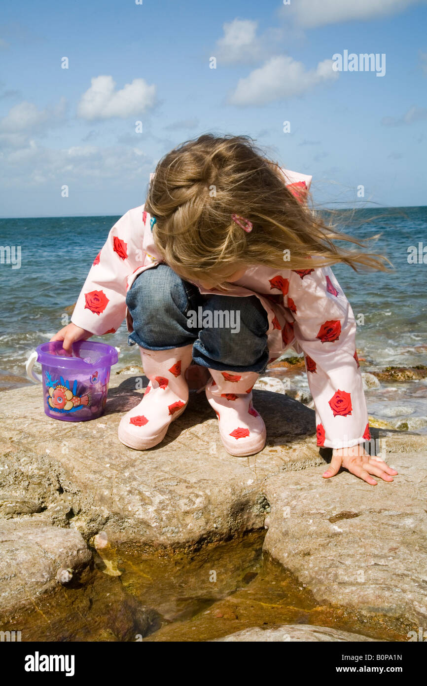 Hunting in rock pools hi-res stock photography and images - Alamy