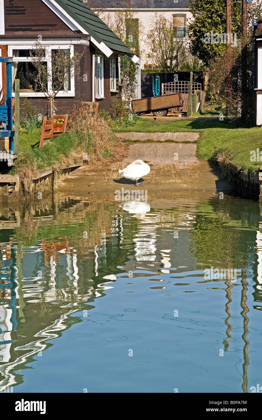 Surfleet hi-res stock photography and images - Alamy