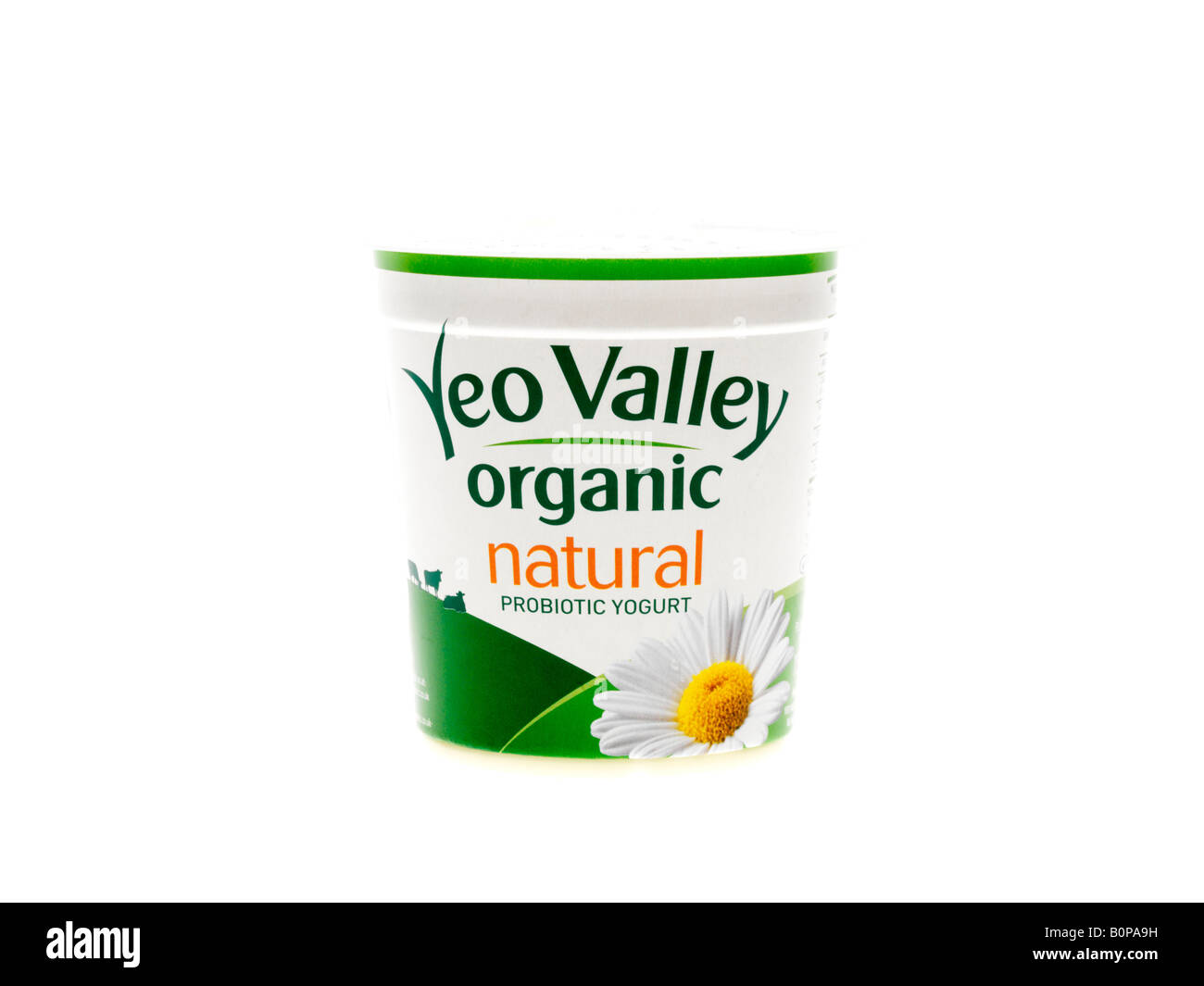 Live yogurt hi-res stock photography and images - Alamy
