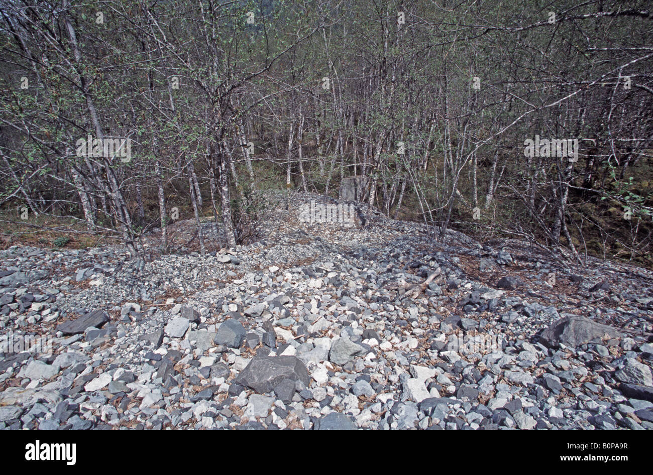 Mount rainier wonderland trail loop hi-res stock photography and images ...