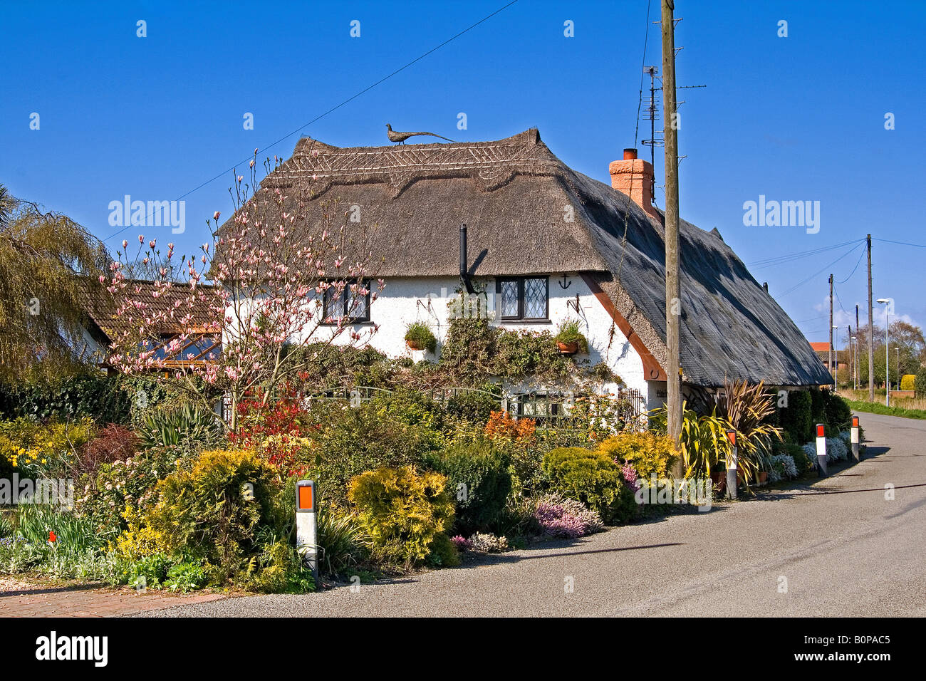 Little Cottage Surfleet Spalding Lincolnshire Fens Stock Photo - Alamy