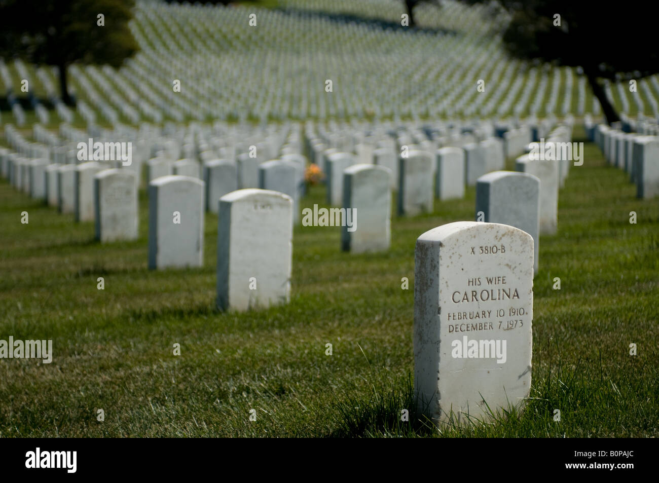 Golden gate national cemetery hi-res stock photography and images - Alamy